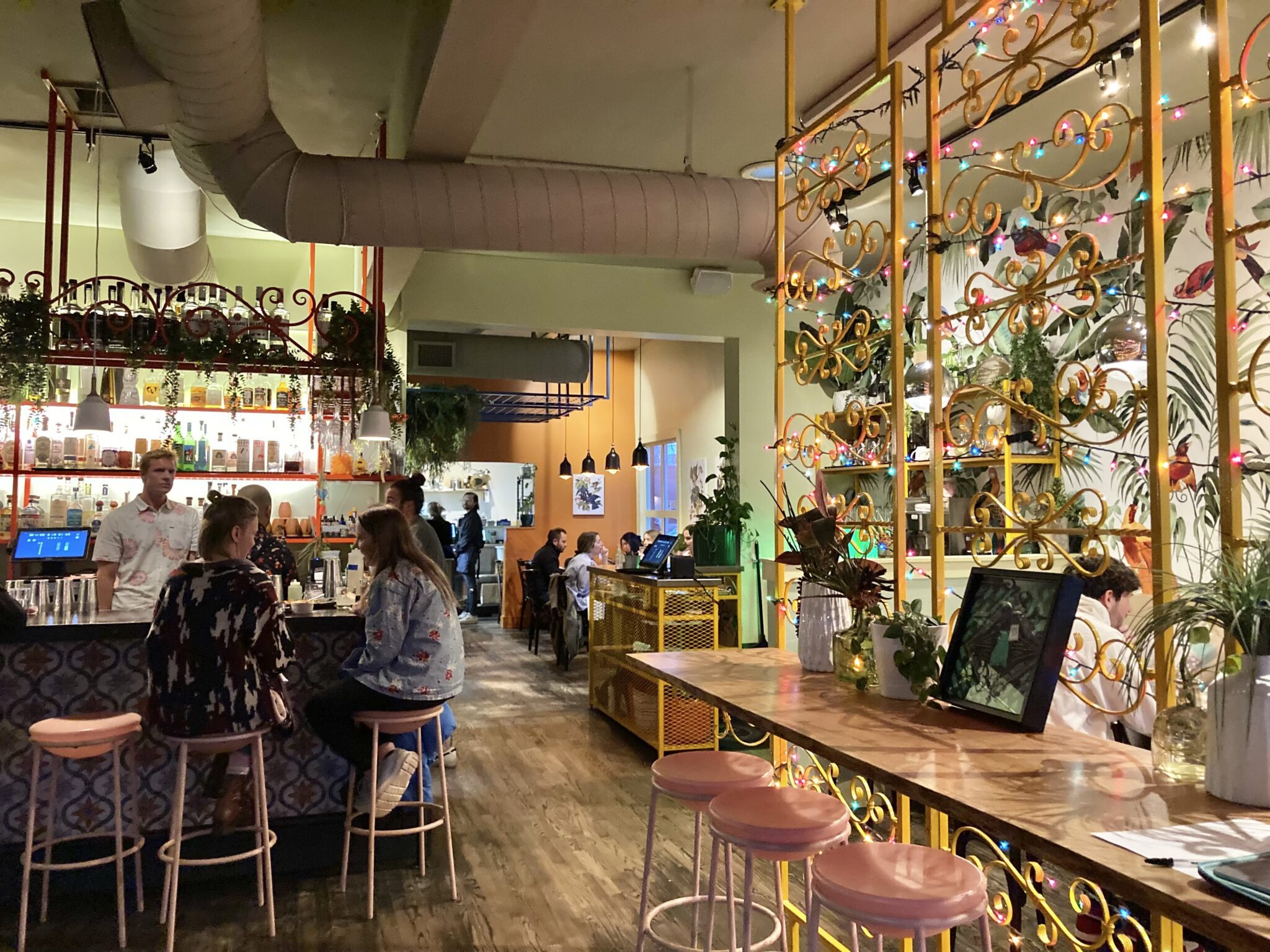 Mister Oso – Denver Restaurant Review - Essential Denver