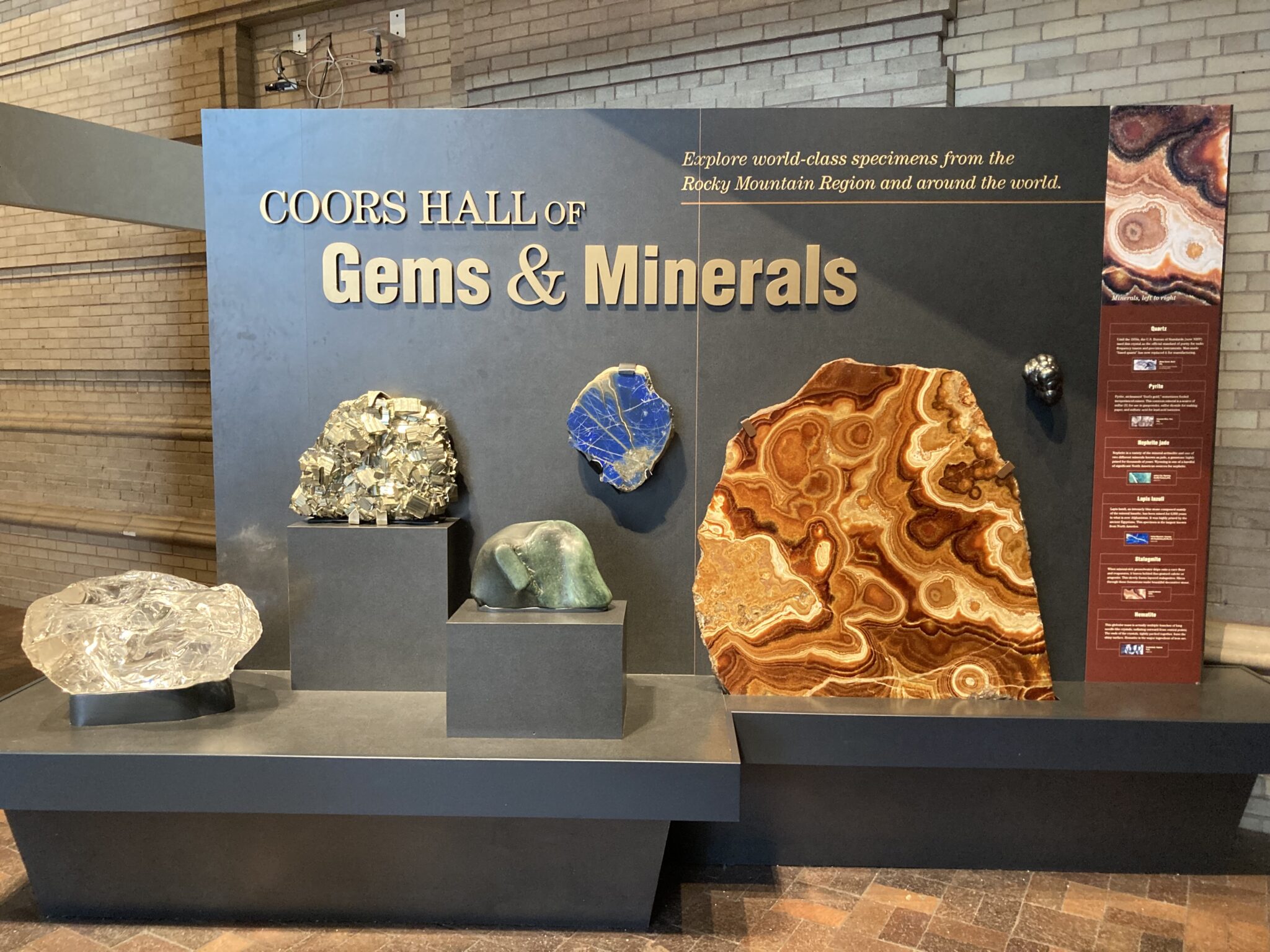 Denver Museum of Nature and Science - Essential Denver